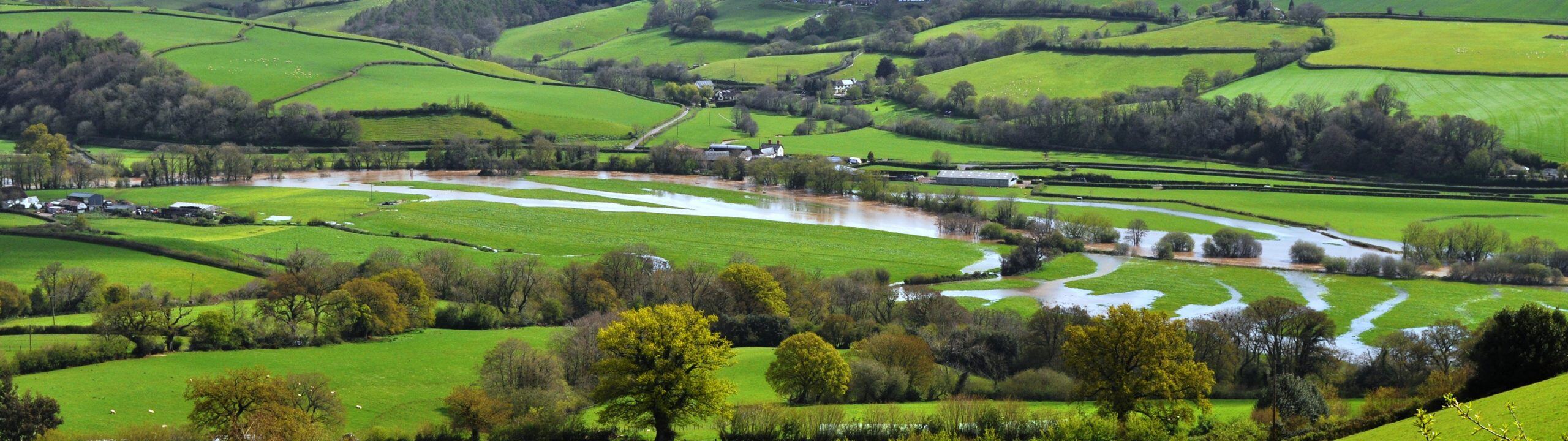 IoT Connectivity Solutions for Environmental Monitoring | Environment ...
